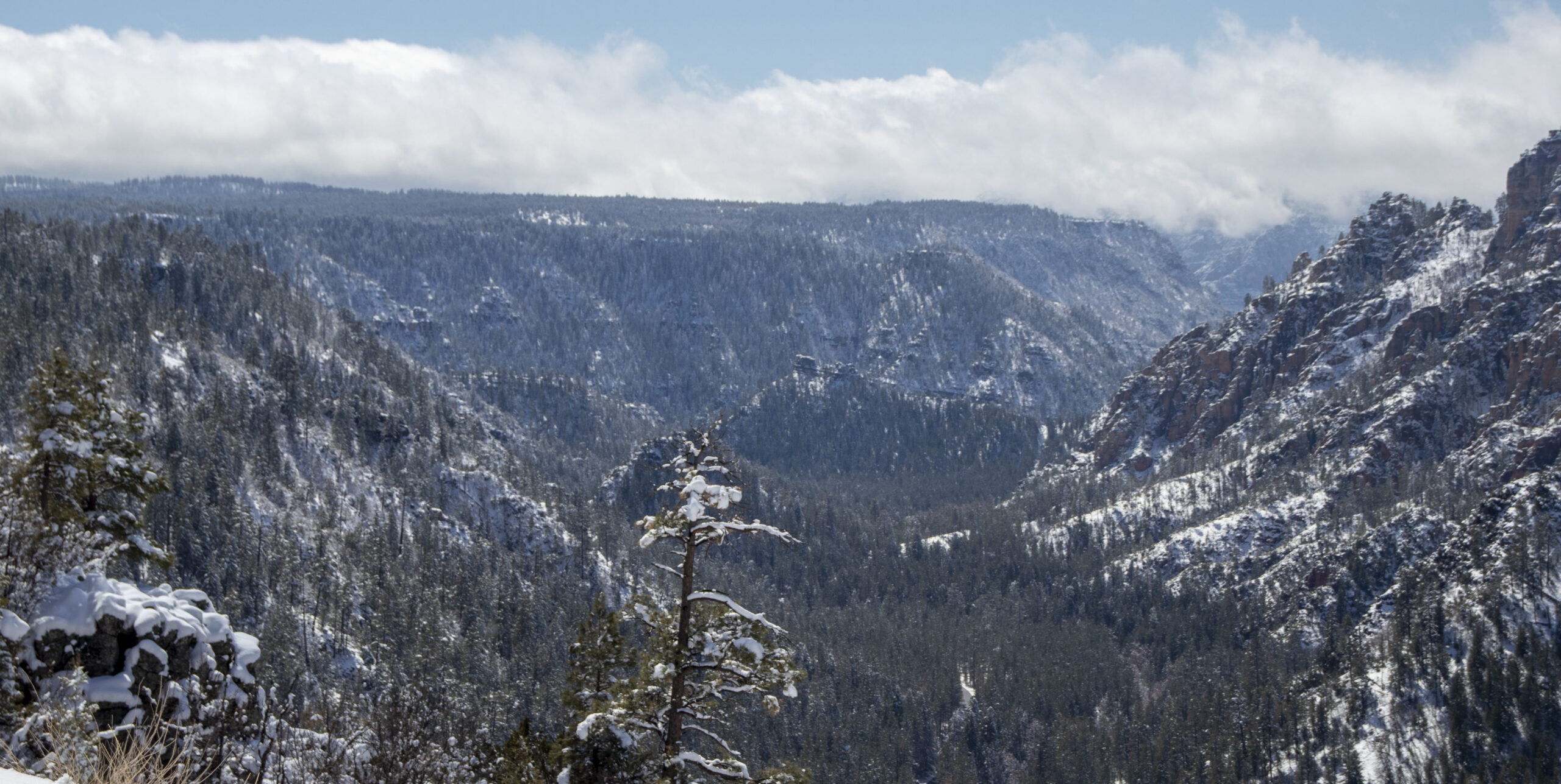 Snowy Mountain Lookout